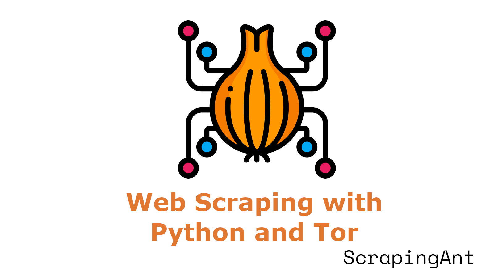 Web Scraping with Tor and Python | ScrapingAnt